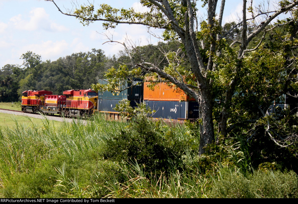 Going away through the trees